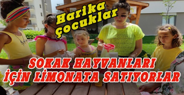 Bursa'da sokak hayvanları için limonata satıyorlar - Bavul Haber Bursa'da sokak hayvanları için limonata satıyorlar - Bavul Haber